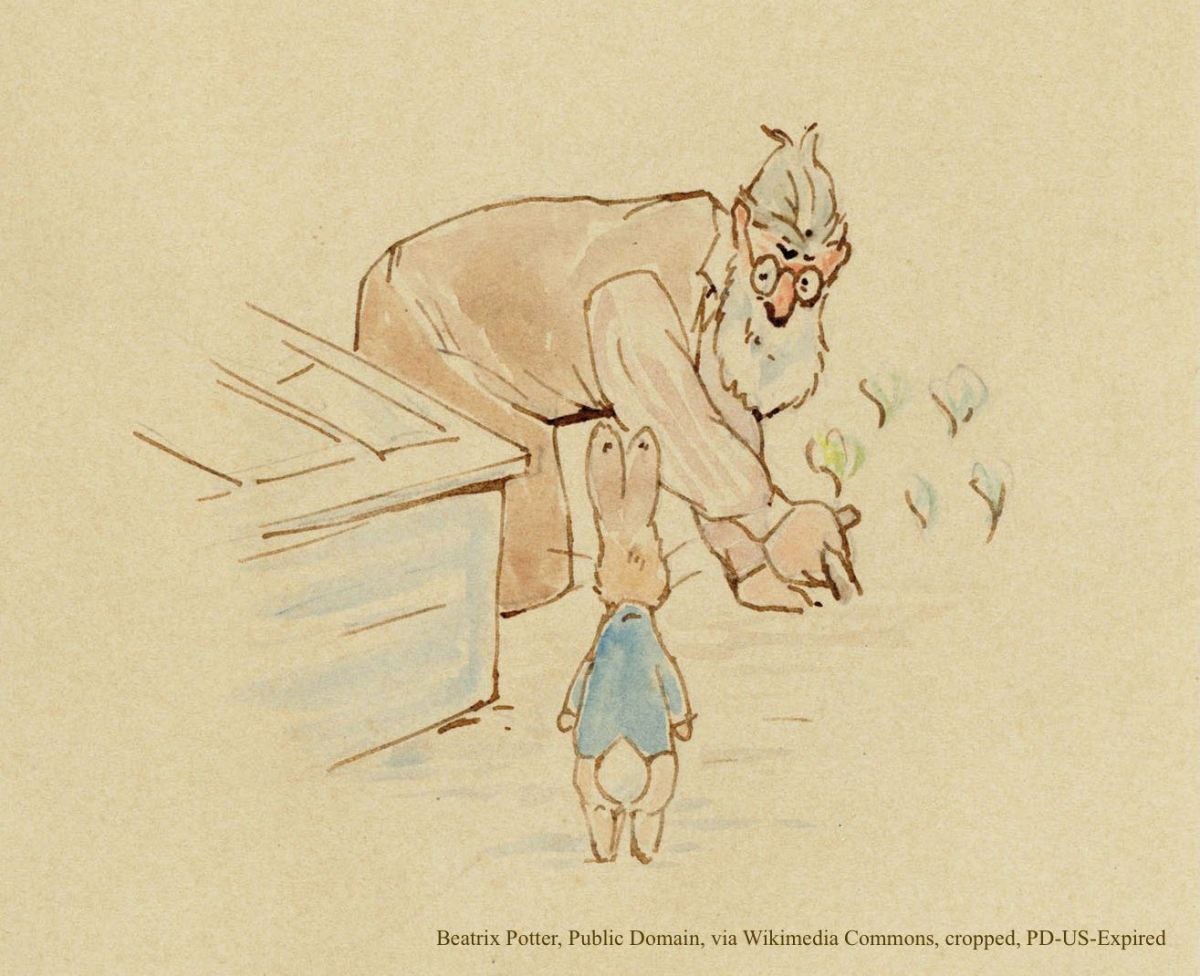 Rabbit Resistant Plants in My Garden – DaisyGardenCrochet